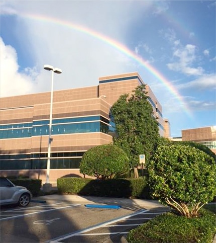 Cosmetic Plastic Surgery Naples